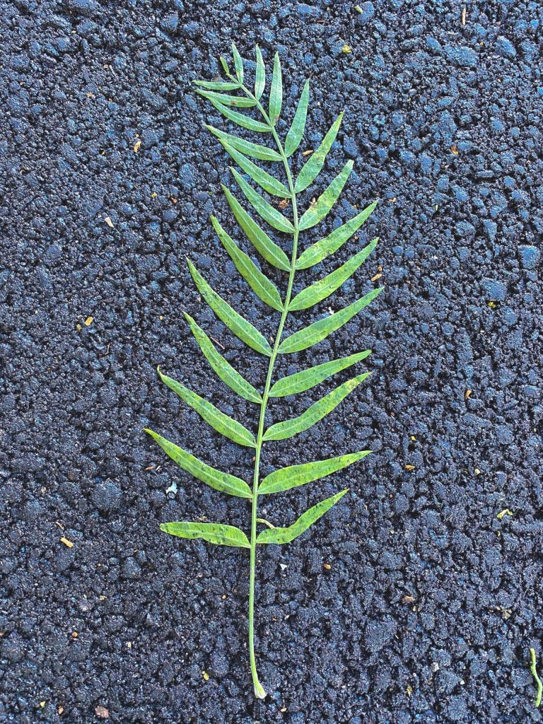 Investing in and managing impact assets | Impact Investing Institute Investing in and managing impact assets | Impact Investing Institute
